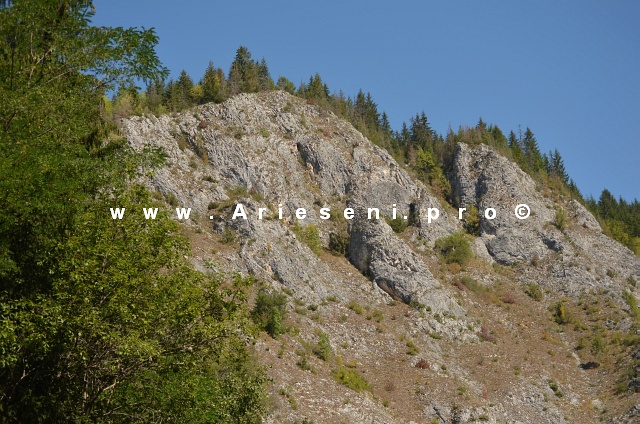 Cheile Ariesului - Arieseni.pro