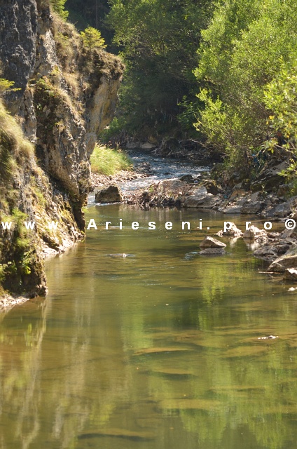 Cheile Ariesului - Arieseni.pro