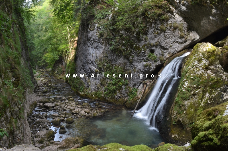 Cheile Galbenei - Arieseni.pro