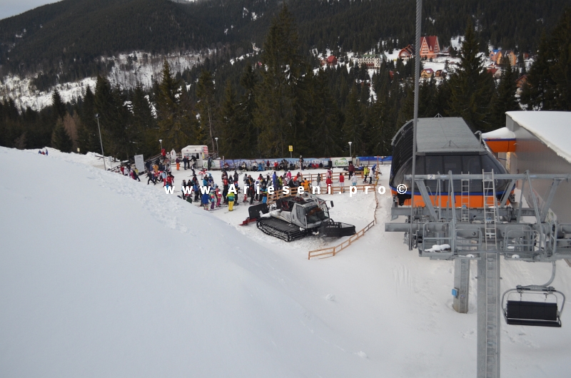 Telescaun Piatra Graitoare Vartop - Arieseni.pro