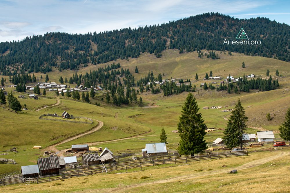 7 motive pentru a vizita Muntii Apuseni toamna - Arieseni.pro